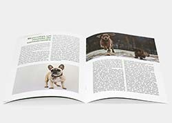 Imprimir libros a color - Calcula tu presupuesto aquí